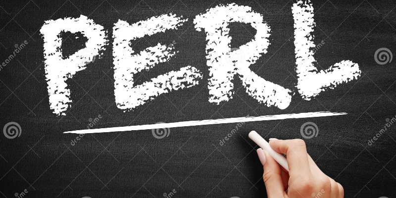 The Best Resources to Learn Perl in 2025 | SabayLok